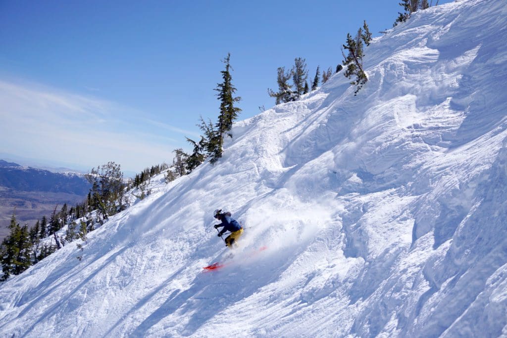 Frequently Asked Questions - Mt. Rose Ski Tahoe