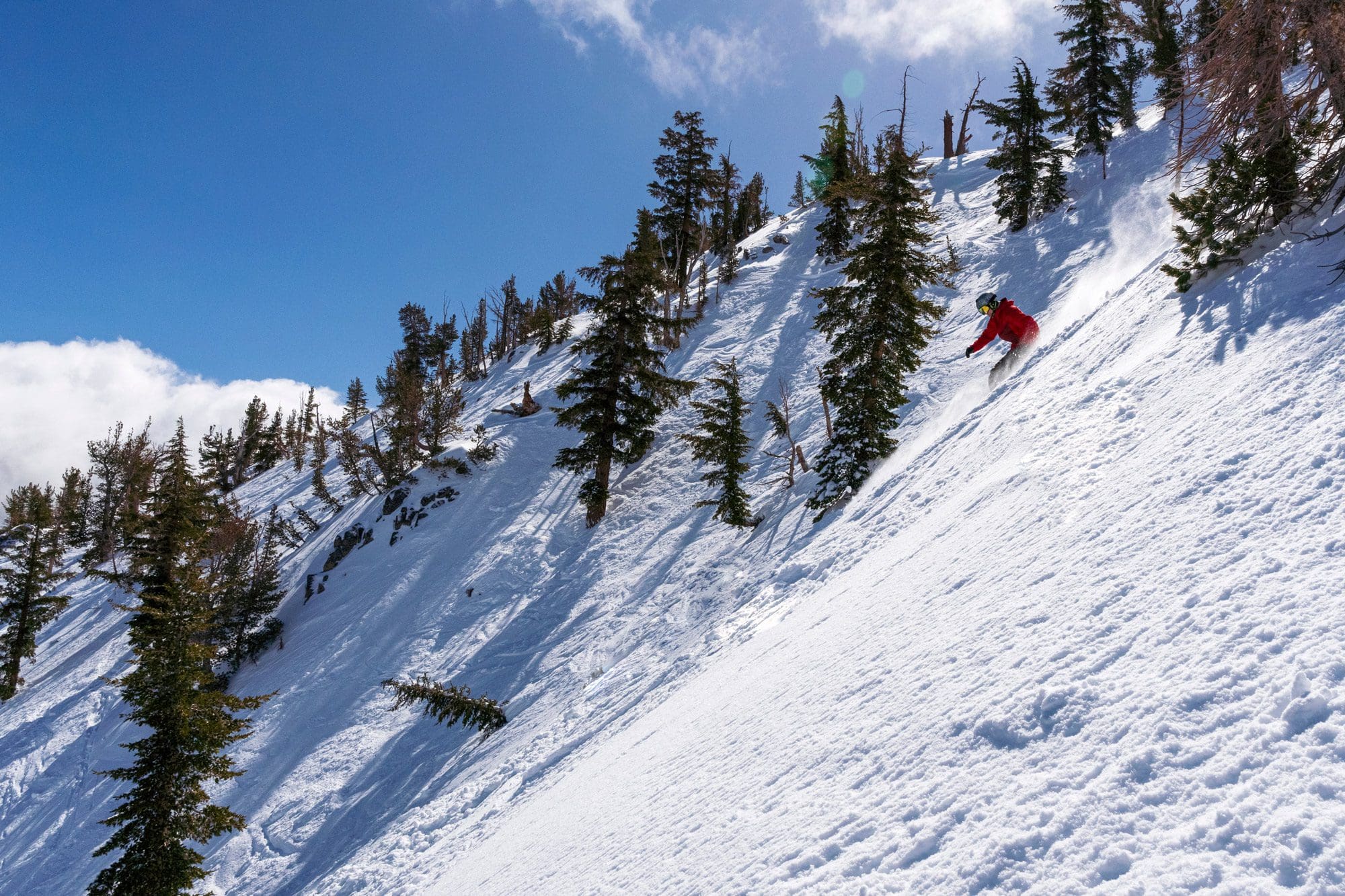 The Chutes - Mt. Rose Ski Tahoe Ski Tahoe